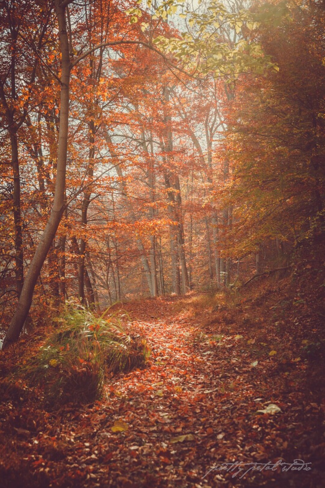 AUTUMN WINDING PATH . Rustic Autumn Art . Moody Fall Landscape ...