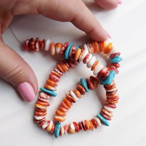 Spiny Oyster and Turquoise Wafer/nugget Beads - Etsy