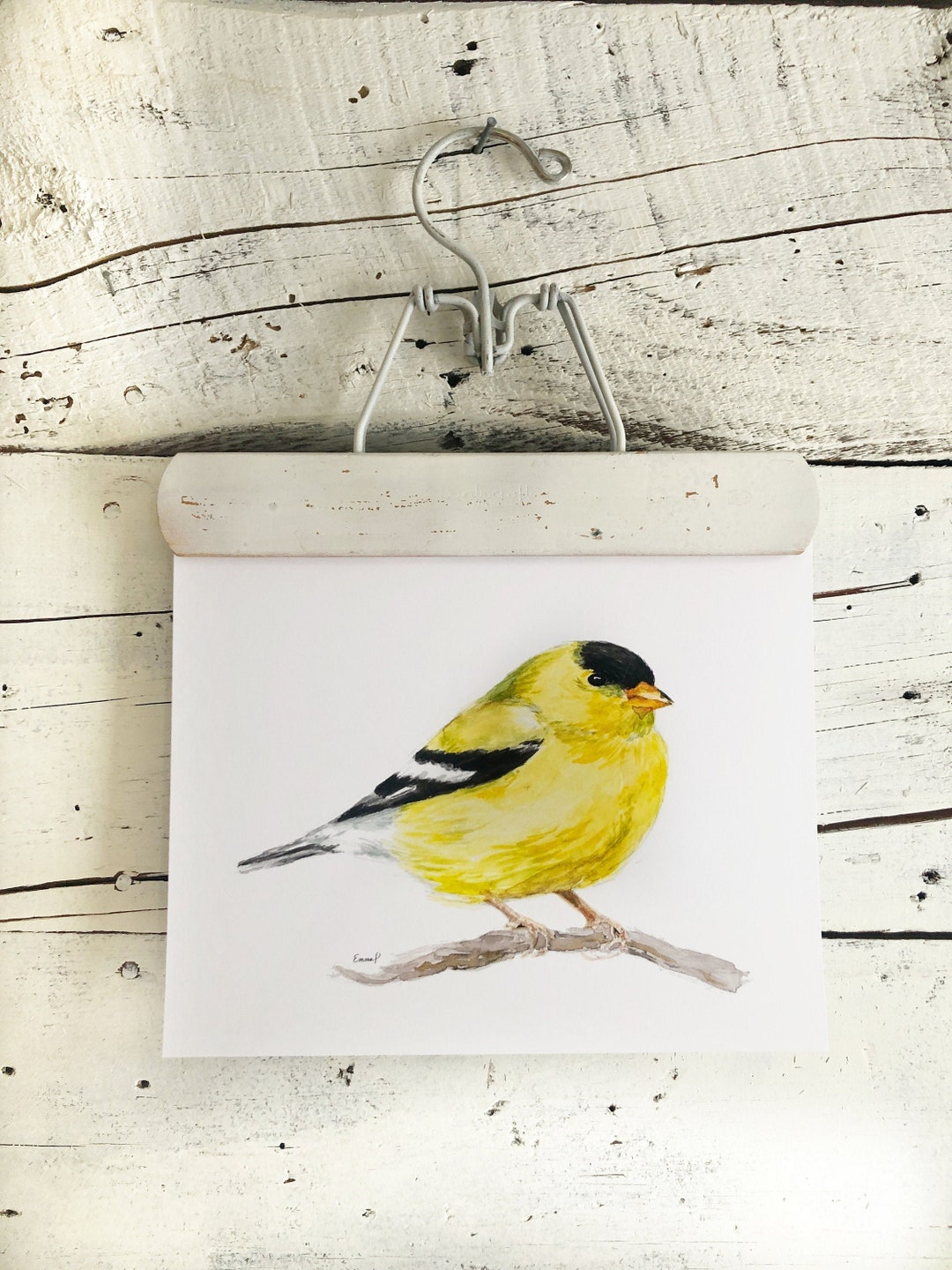 Art Print of Goldfinch by Emma Pyle Art, 5 by 7 or 8 by 10 Inches ...
