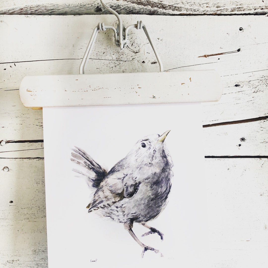 Art Print of Wren by Emma Pyle 5 by 7 or 8 by 10 Inches - Etsy