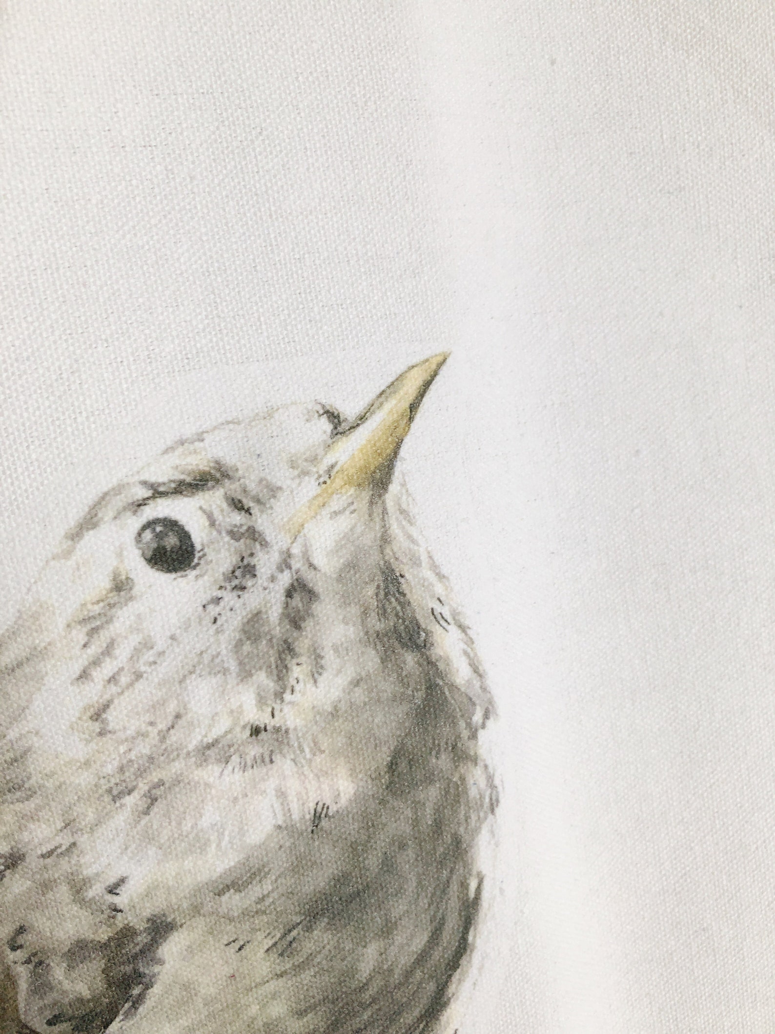 Eco Friendly Canvas Tote Bag With Art by Emma Pyle Wren Water - Etsy