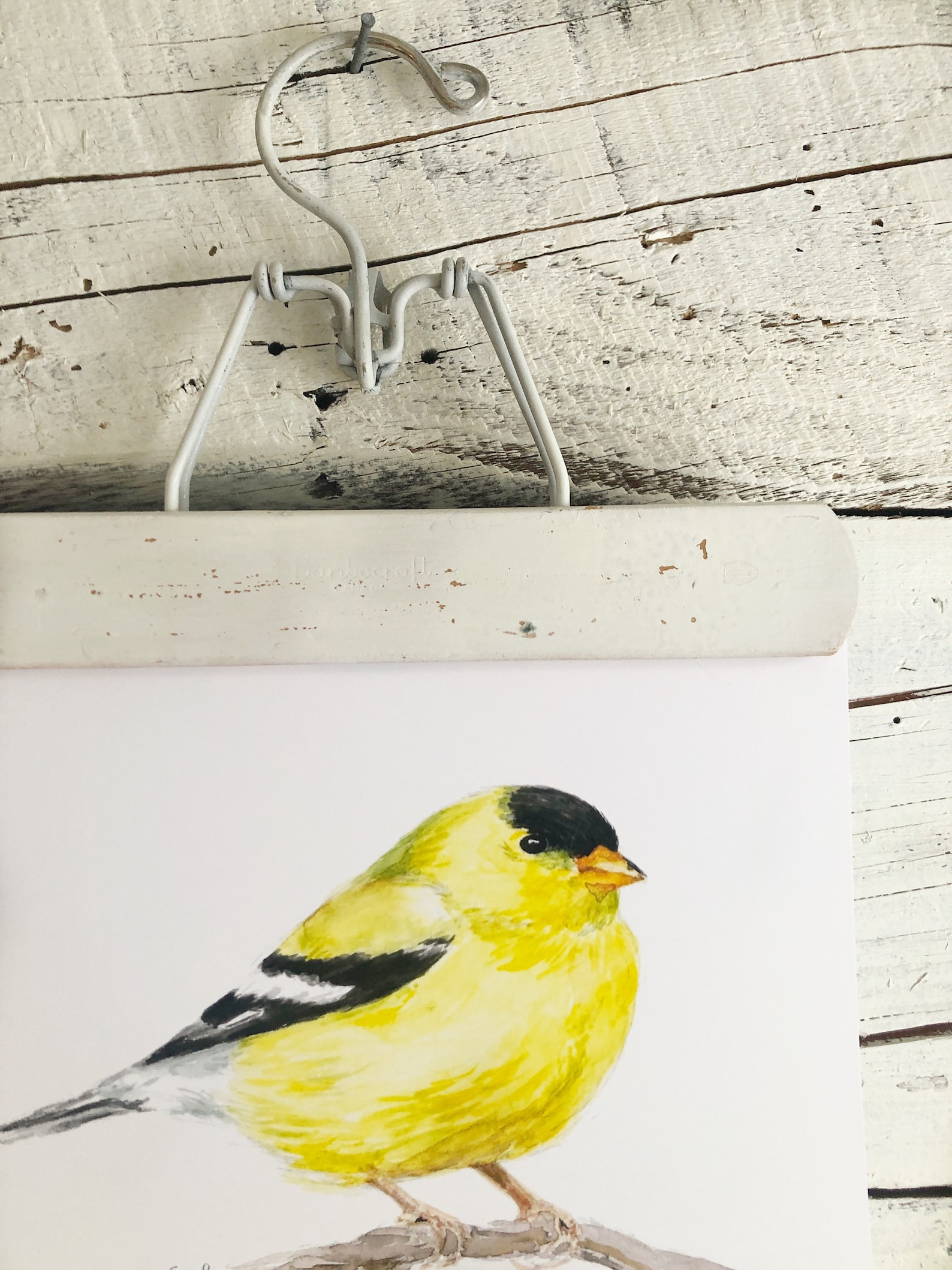 Art Print of Goldfinch by Emma Pyle Art 5 by 7 or 8 by 10 - Etsy