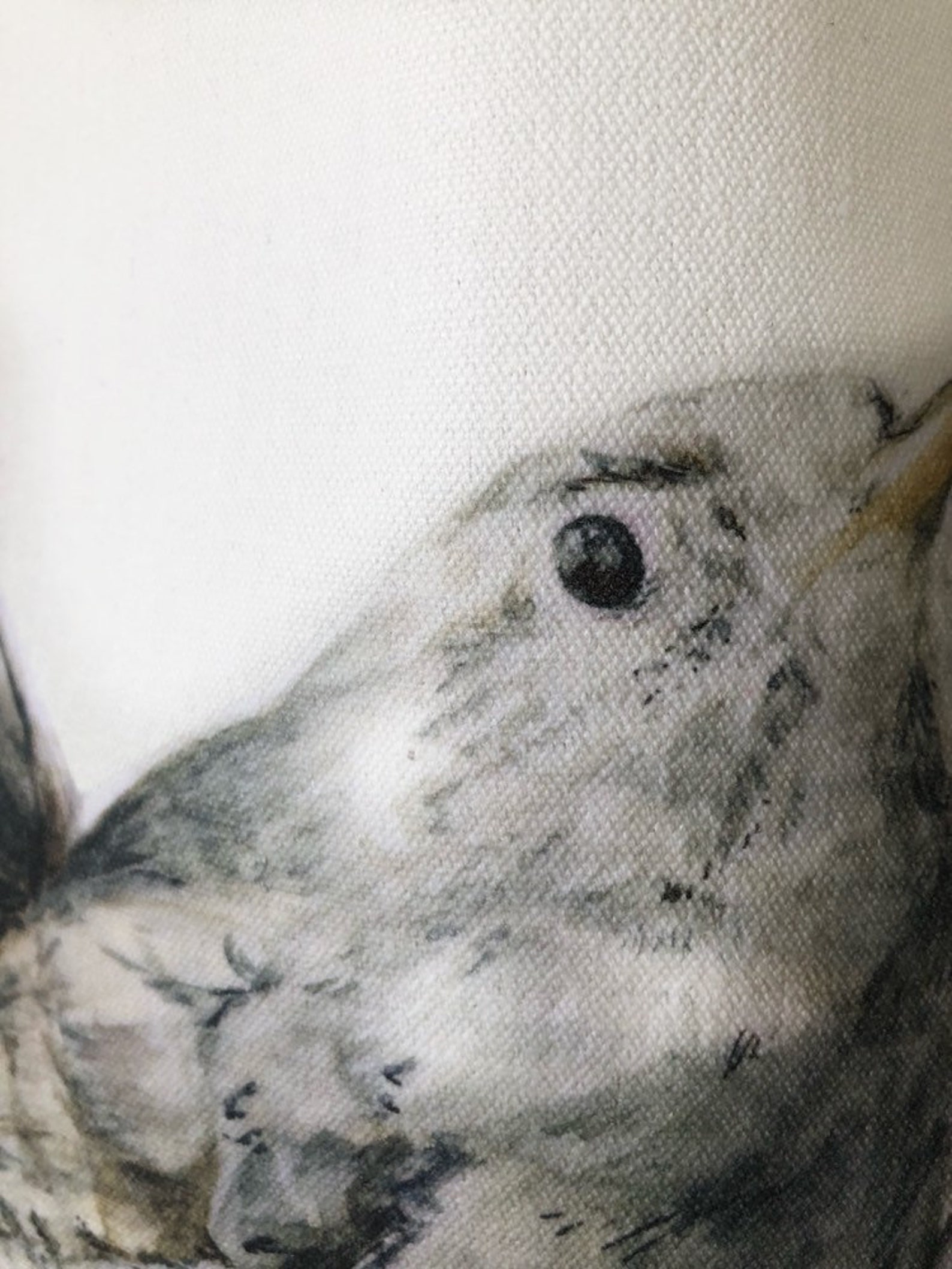 Eco Friendly Canvas Tote Bag With Art by Emma Pyle Wren Water - Etsy