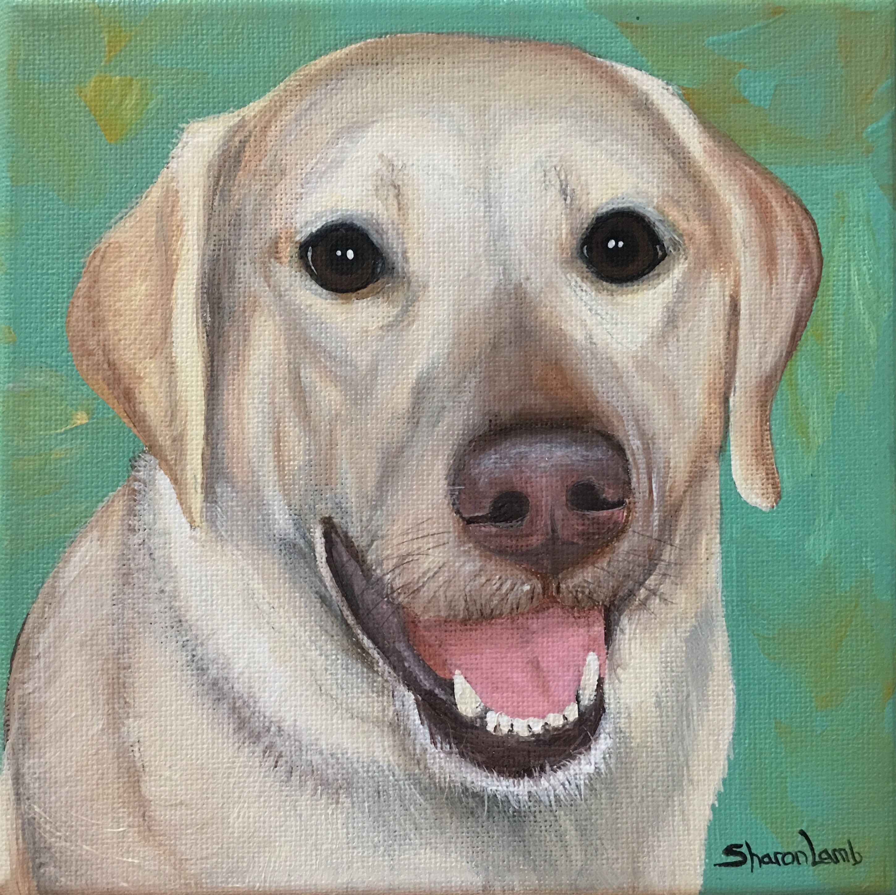 Ashley Shuster's Instagram, Twitter & Facebook on IDCrawl