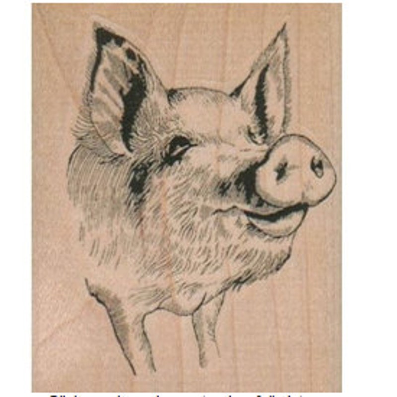 Pig Rubber Stamp - Etsy