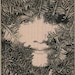 Rubber Stamp Woman Lady Face in Fir Unmounted Scrapbooking Supplies ...