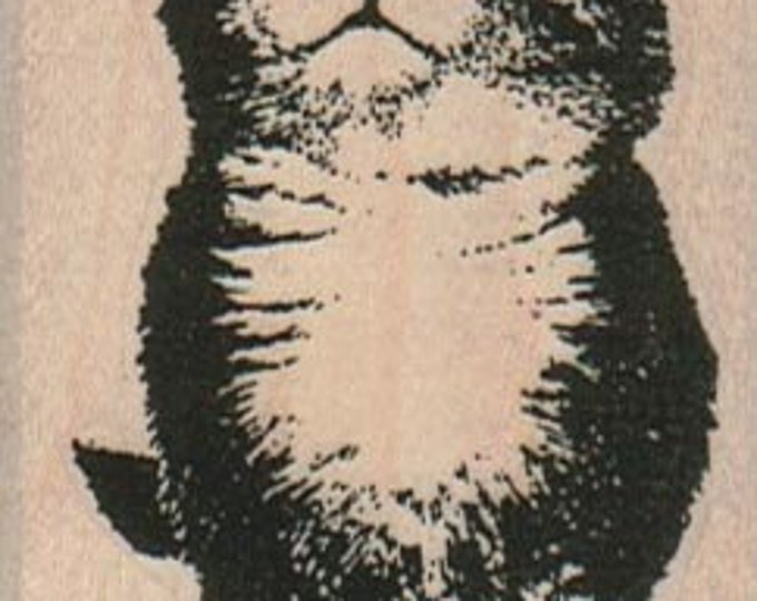 Rubber Stamp Kitten Cat Wood Mounted Scrapbooking Supplies - Etsy