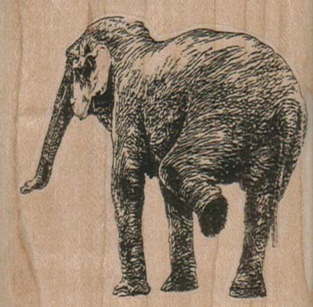 Elephant Lifting Leg Stamp Wood Mounted Rubber Stamp Stamp Number 9023 ...