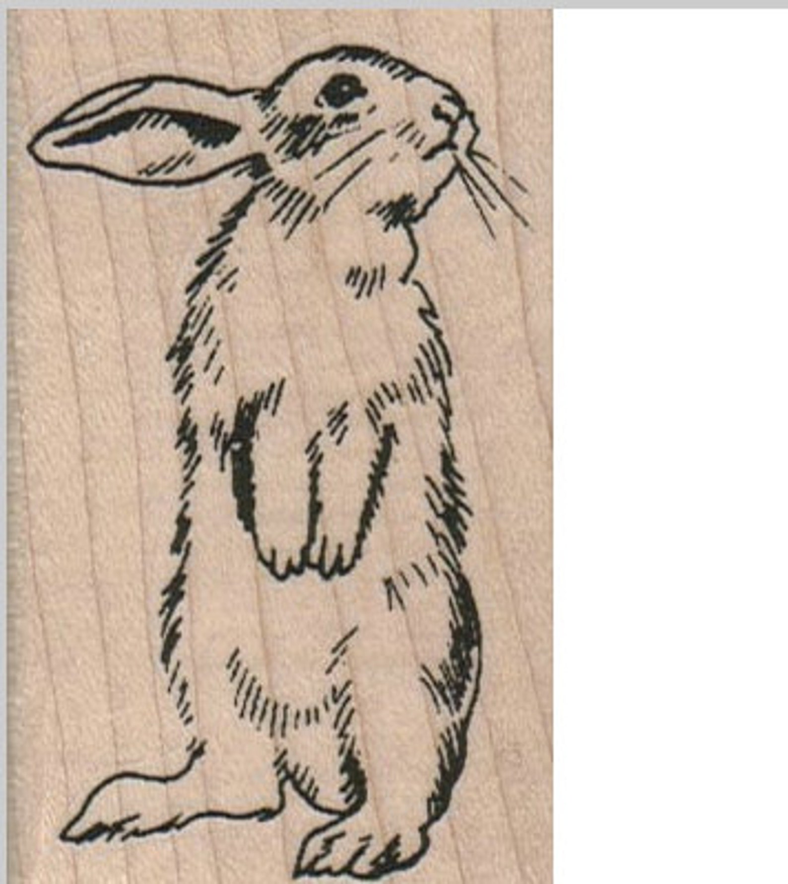Easter Rabbit Bunny Rubber Stamps Stamping Scrapbooking - Etsy