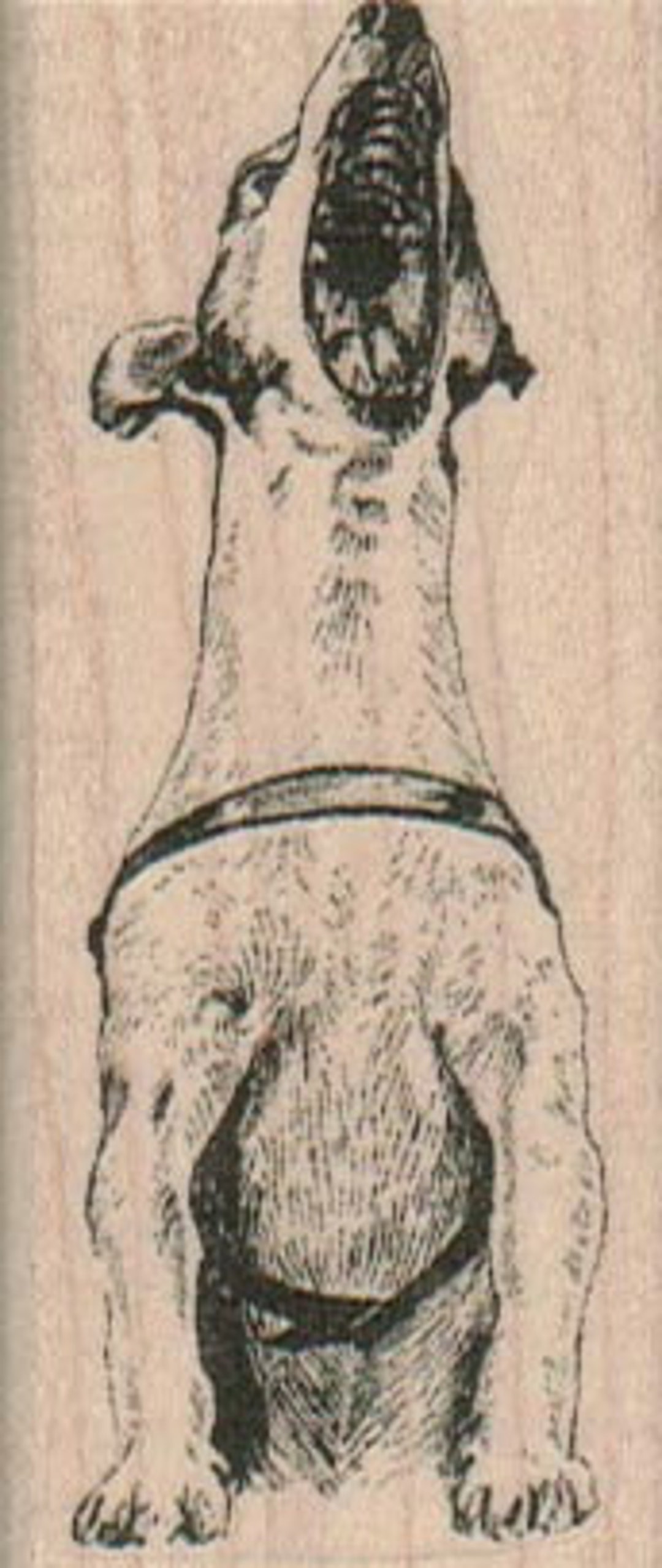 Howling Dog Rubber Stamp Puppy Pet Animal Stamps Number17410 Puppy ...