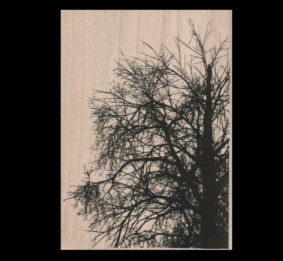 Tree Background Rubber Stamp Holiday Christmas Fall Autumn Winter ...
