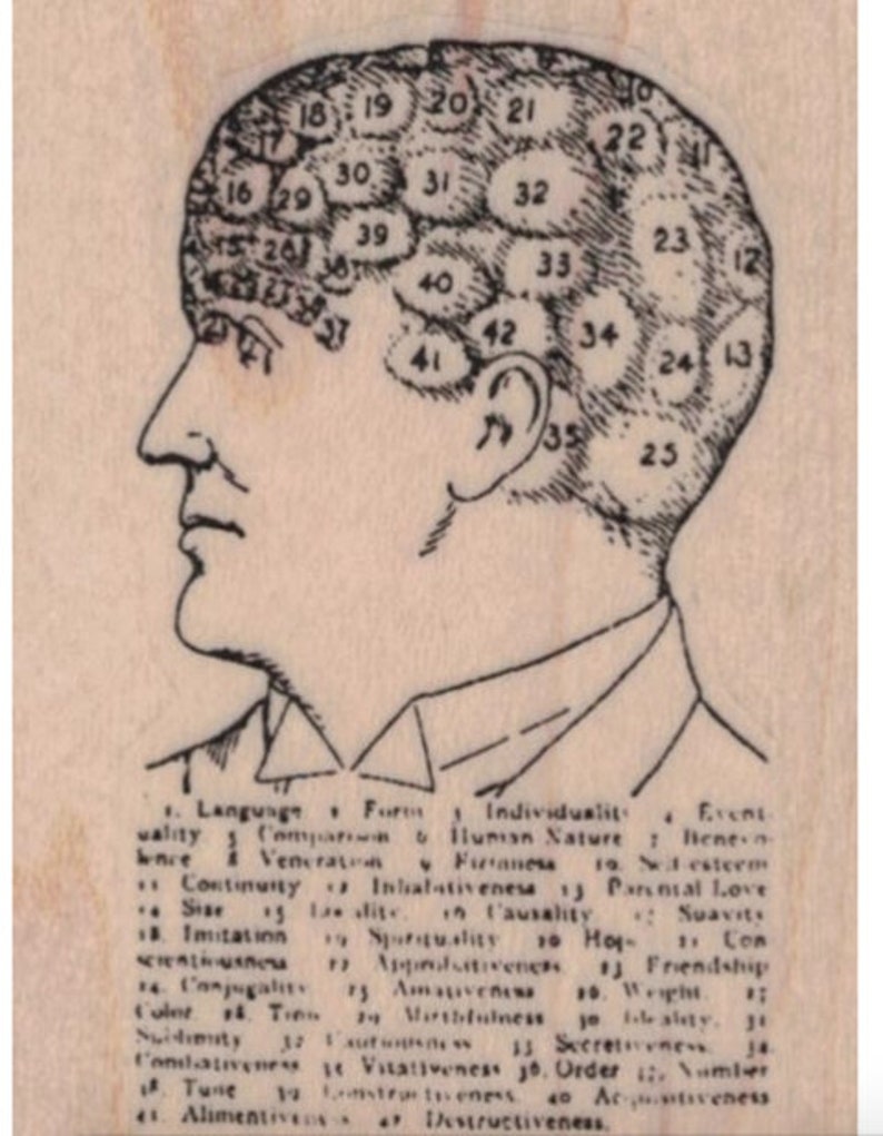 Rubber Stamp Man Head Numbers Script Stamps Anatomy Number 20487 - Etsy