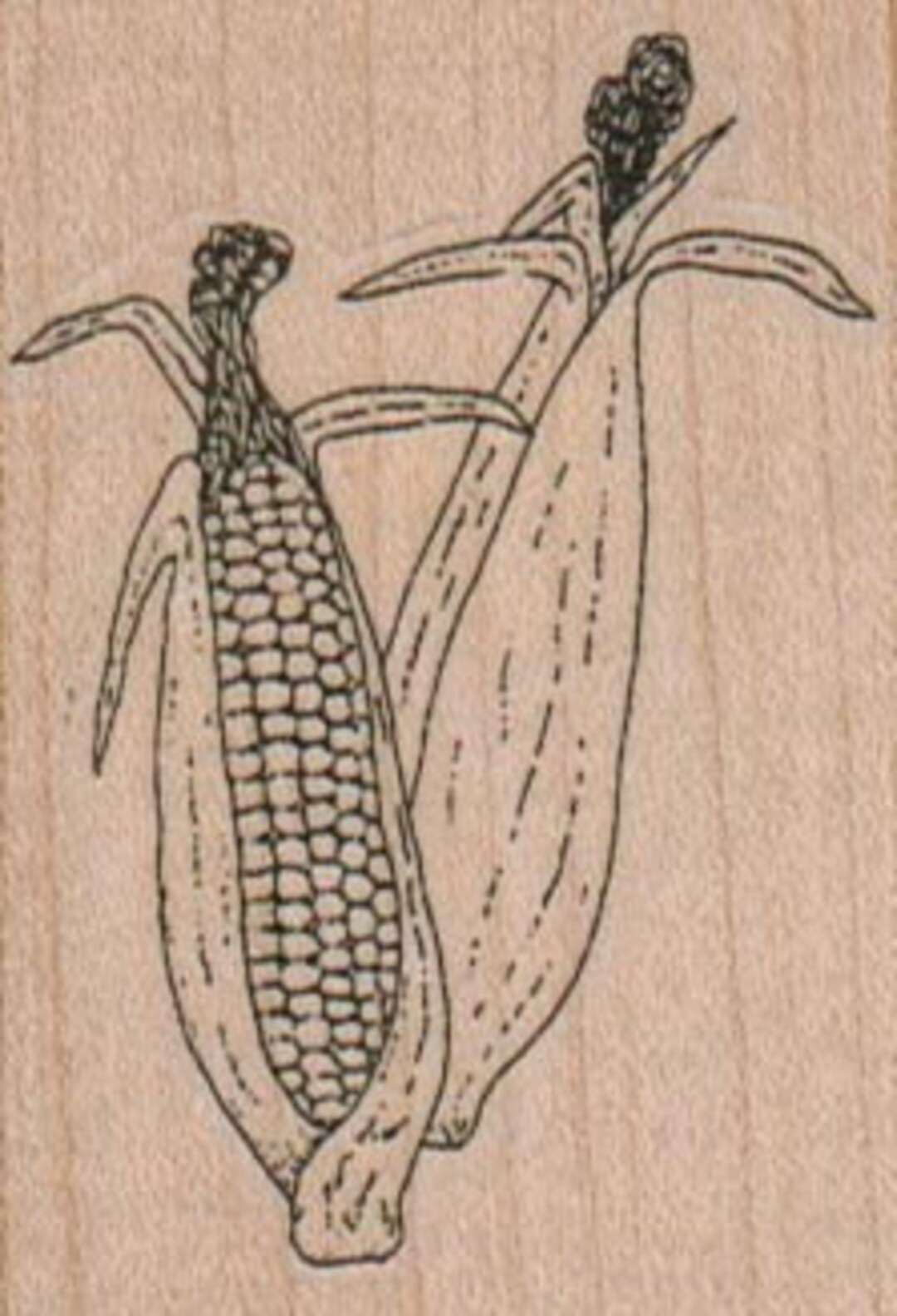 Rubber Stamp Mounted Corn on the Cob Stamp Number 12968 Summer Garden ...