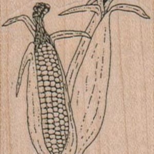 Rubber Stamp Mounted Corn on the Cob Stamp Small Number 13006 Summer ...