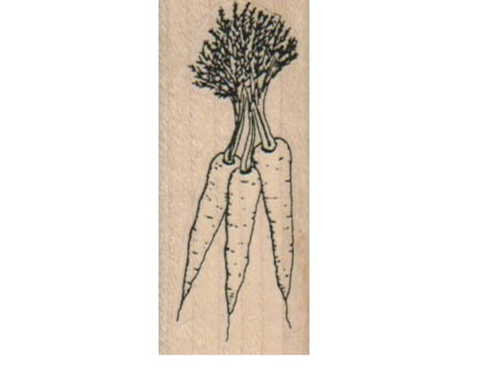 Rubber Stamp Mounted Carrots Plant Stamp Number 8828 Summer - Etsy