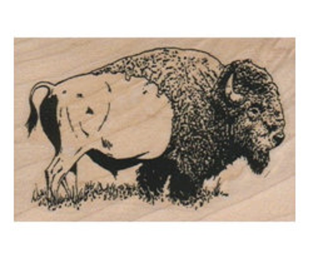 Rubber Stamp Buffalo Bison Animal Stamping Supplies Scrapbooking ...