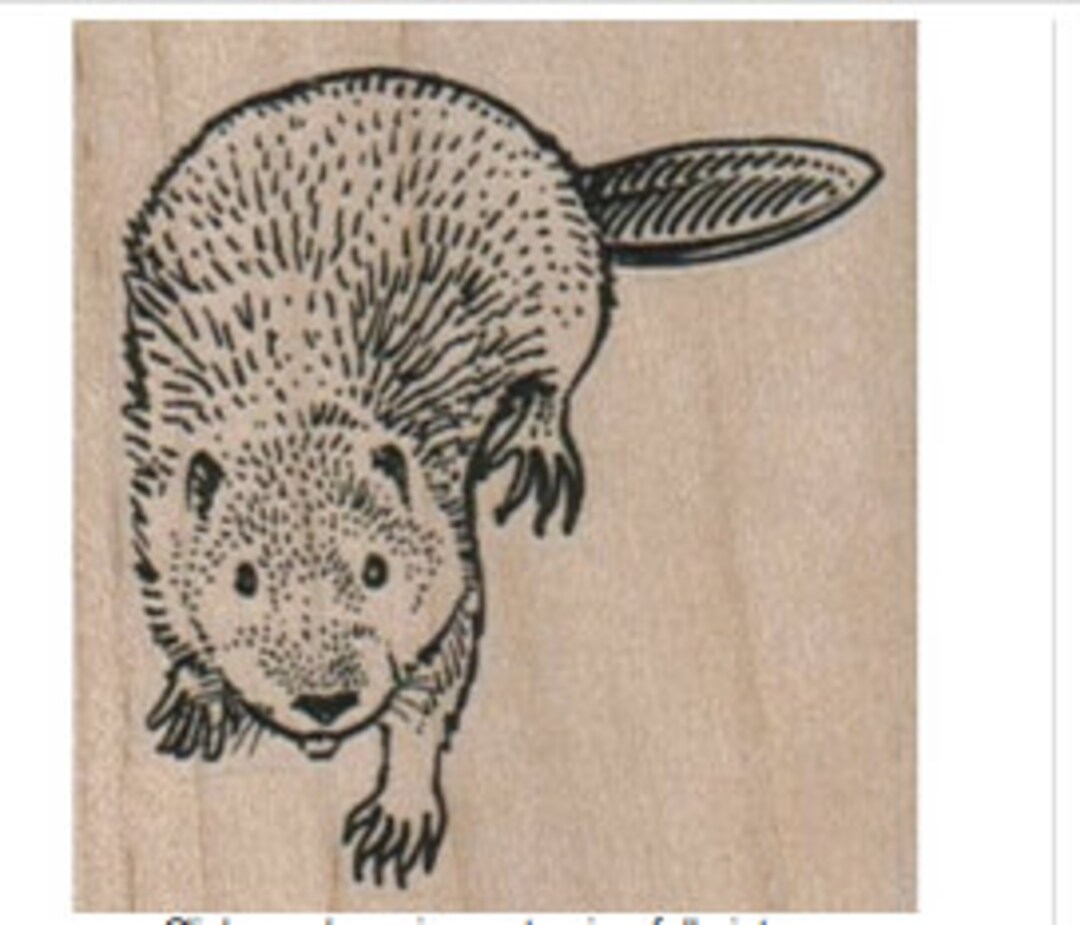Beaver Rubber Stamps Place Cards Gifts Wood Mounted 15632 Craft ...
