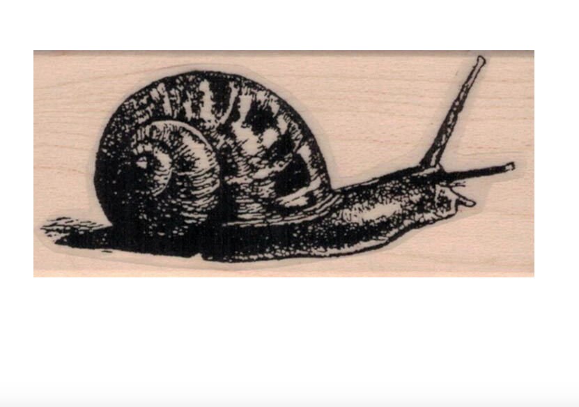 Snail Rubber Stamp Stamps Stamping Bug Insect Nature Art and | Etsy