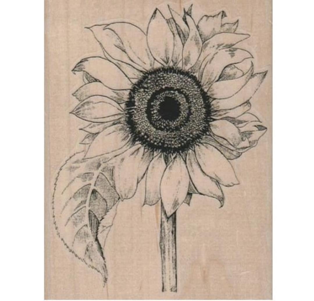 Rubber Stamp Sunflower Flower Stamps Scrapbooking Supplies No 1170 1107 ...
