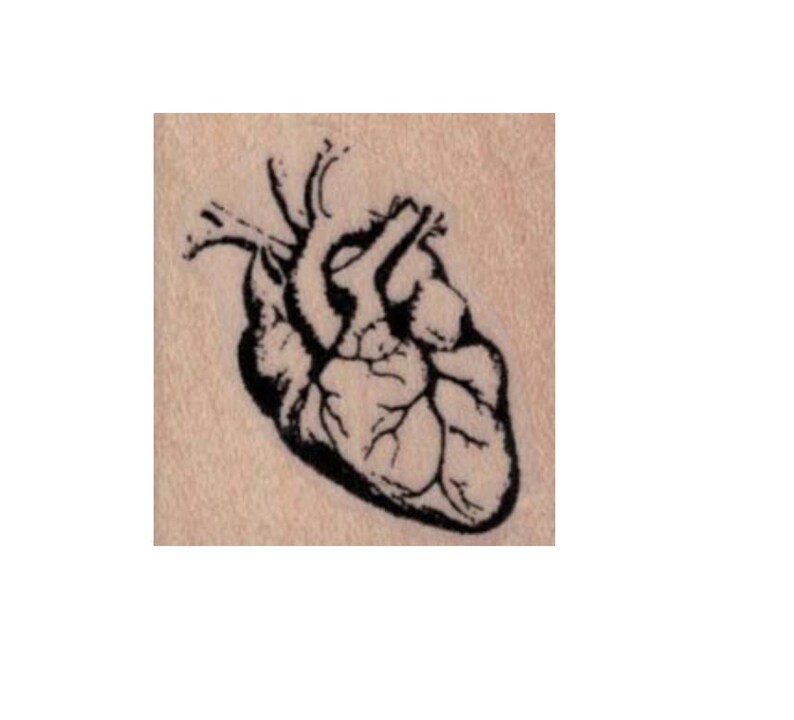 Human Heart Rubber Stamp Anatomical Medical Halloween Creepy - Etsy