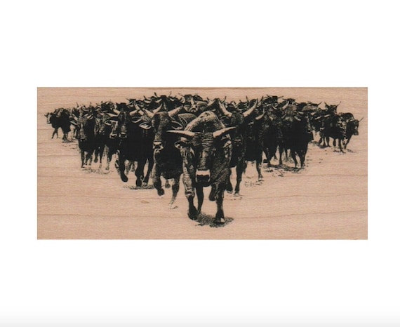 Stampede Steer Rubber Stamp Wild West Cowboy Measures - Etsy