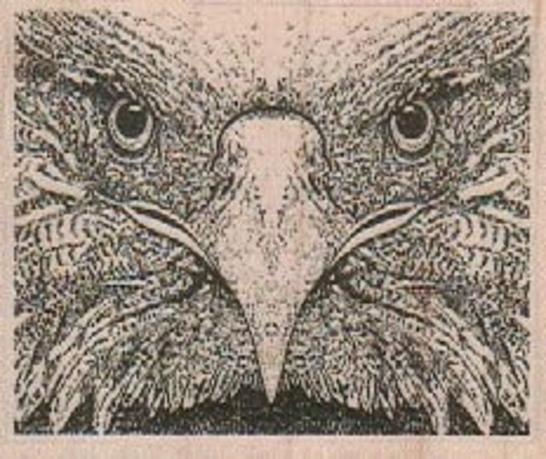 Rubber Stamp Hawk Closeup Wood Mounted Scrapbooking Supplies Number ...