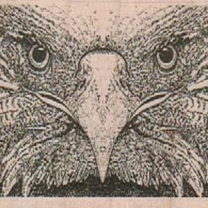 Rubber Stamp Hawk Closeup Wood Mounted Scrapbooking Supplies Number ...
