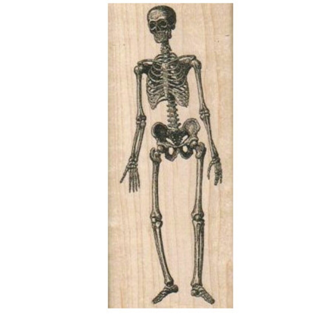 Rubber Stamp Halloween Skeleton Bones Scrapbooking Supplies - Etsy