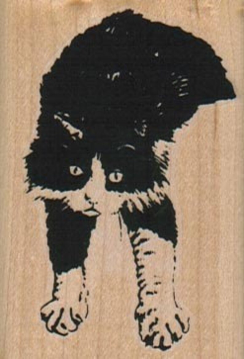 Rubber Stamp Cat Huge Stamp Smiling Cat Halloween Wood Mounted | Etsy