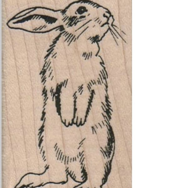 Easter Bunny Stamp - Etsy