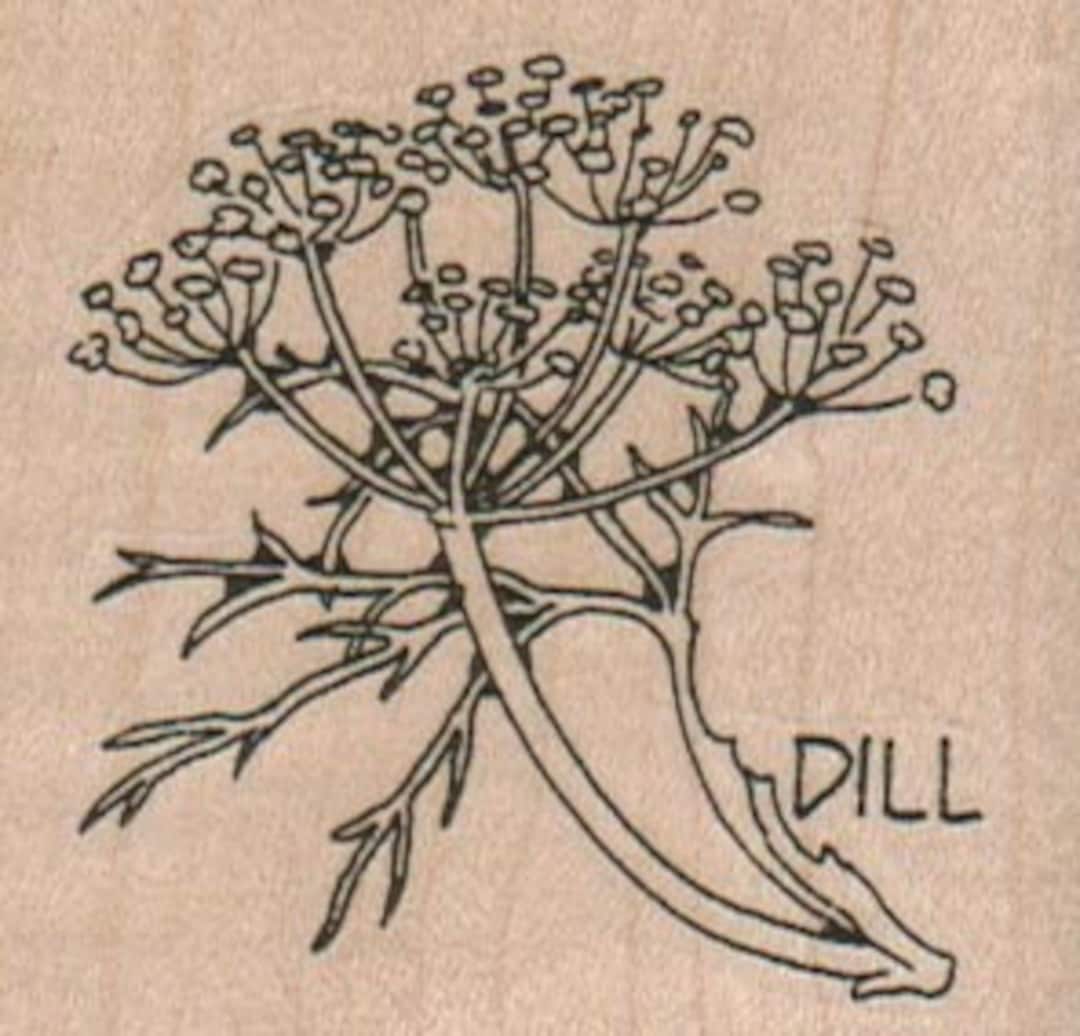 Rubber Stamp Dill Plant 2 1/4 X 2 Number 10066 Plant Cling Stamp ...
