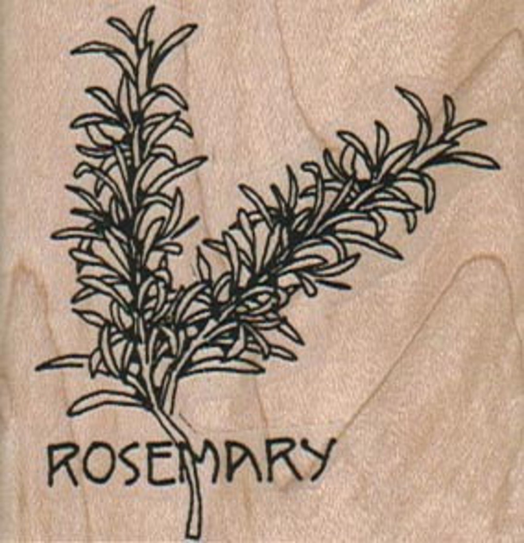 Rubber Stamp Rosemary Herb Cling Stamp, Unmounted or Wood Mounted Stamp ...