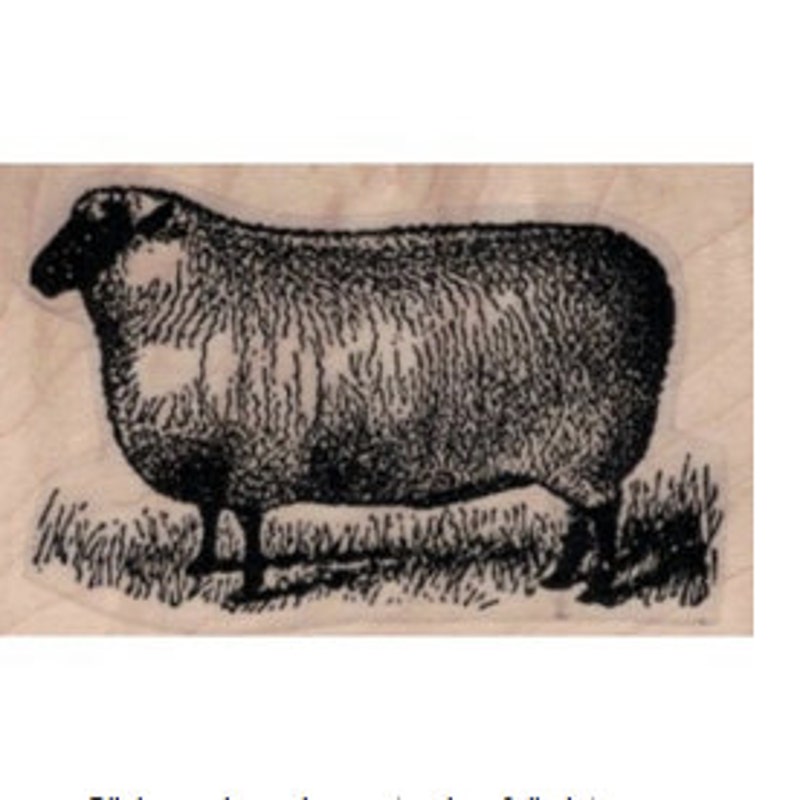 Sheep Stamp - Etsy