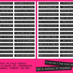 Printable Trendy and Snarky Labels | Journal Clipart | Planner Labels ...