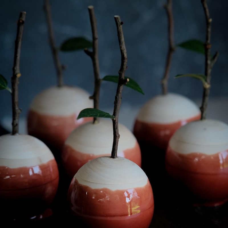 Halloween Toffee Apples - Etsy UK