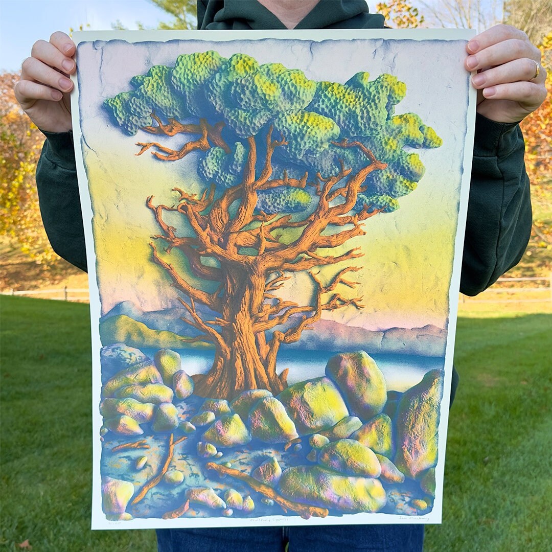 Monterey Cypress Art Print - Etsy