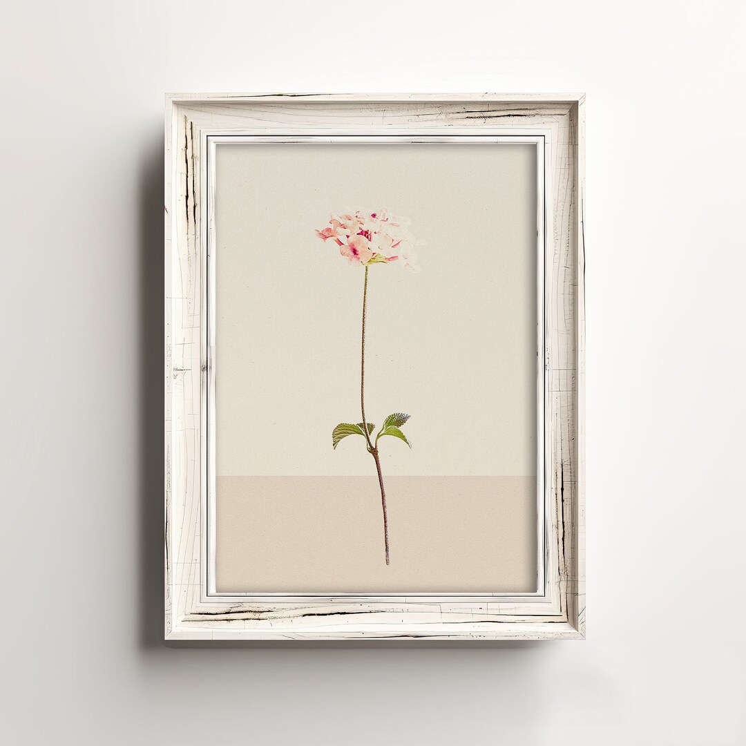 Minimal Pink Art Downloadable, Digital Art Soft Pink Lantana Print ...