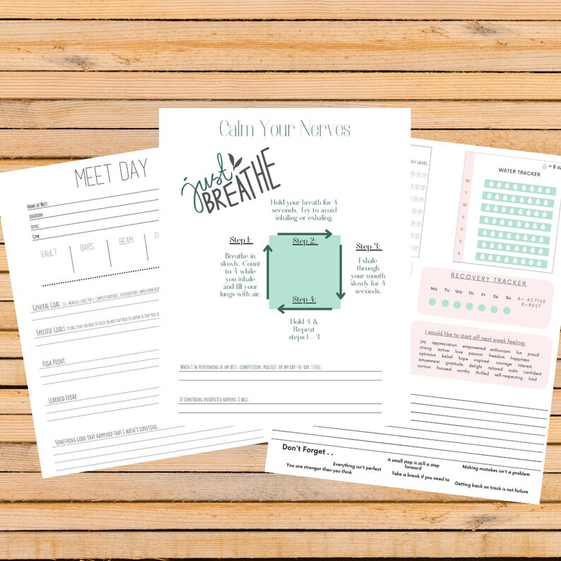 The Ultimate Goal Book Gymnastics Journal and Planner - Etsy