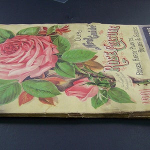 Original 1891 New Guide to Rose Culture CATALOGUE the Dingee & Conard ...