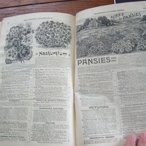 Original 1891 New Guide to Rose Culture CATALOGUE the Dingee & Conard ...