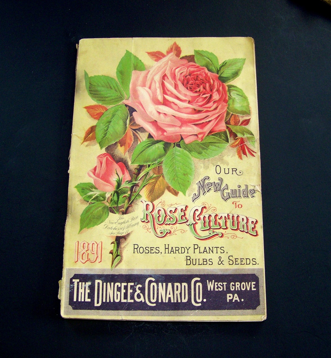 Original 1891 New Guide to Rose Culture CATALOGUE the Dingee & Conard ...