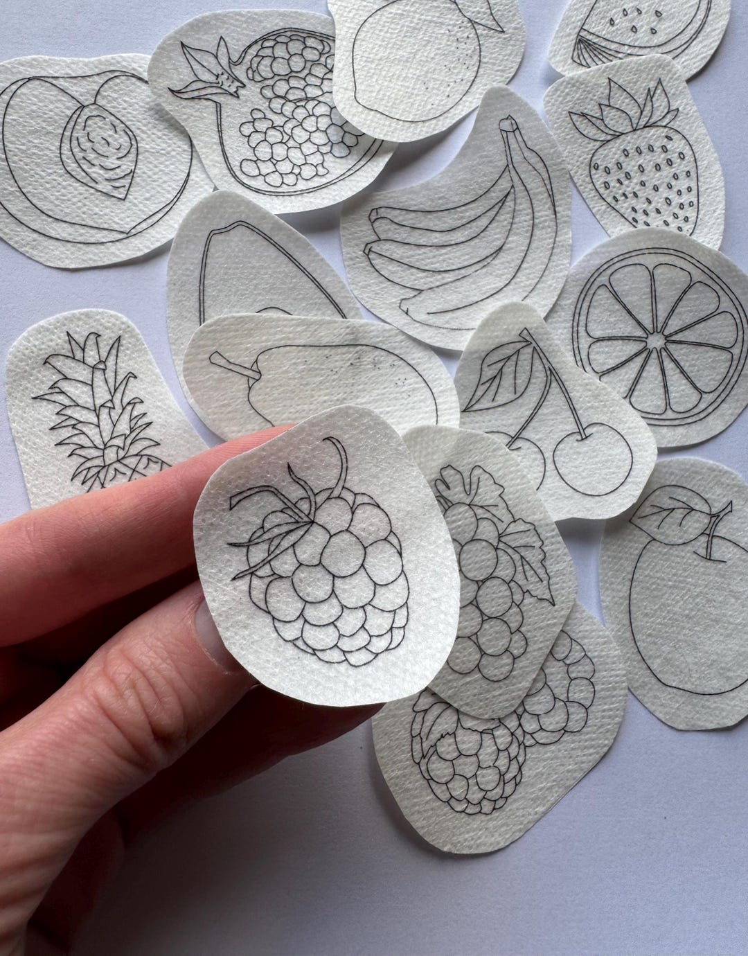 FRUITS Stick and Stitch Embroidery Designs, Berries Stick N Stitch ...