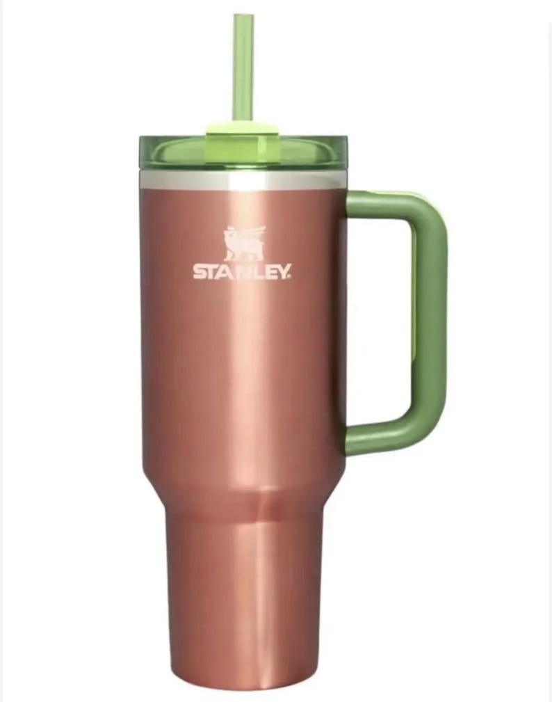 Customisable Elphaba Wicked Stanley 30oz/40oz Cup Custom Name Stanley ...