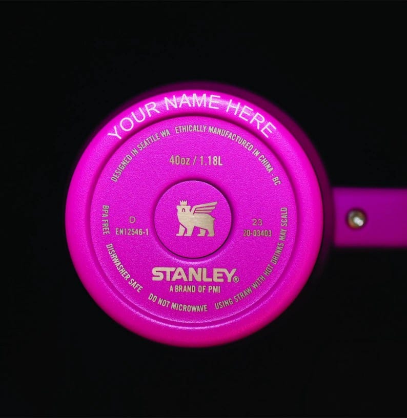 Customisable Elphaba Wicked Stanley 30oz/40oz Cup Custom Name Stanley ...