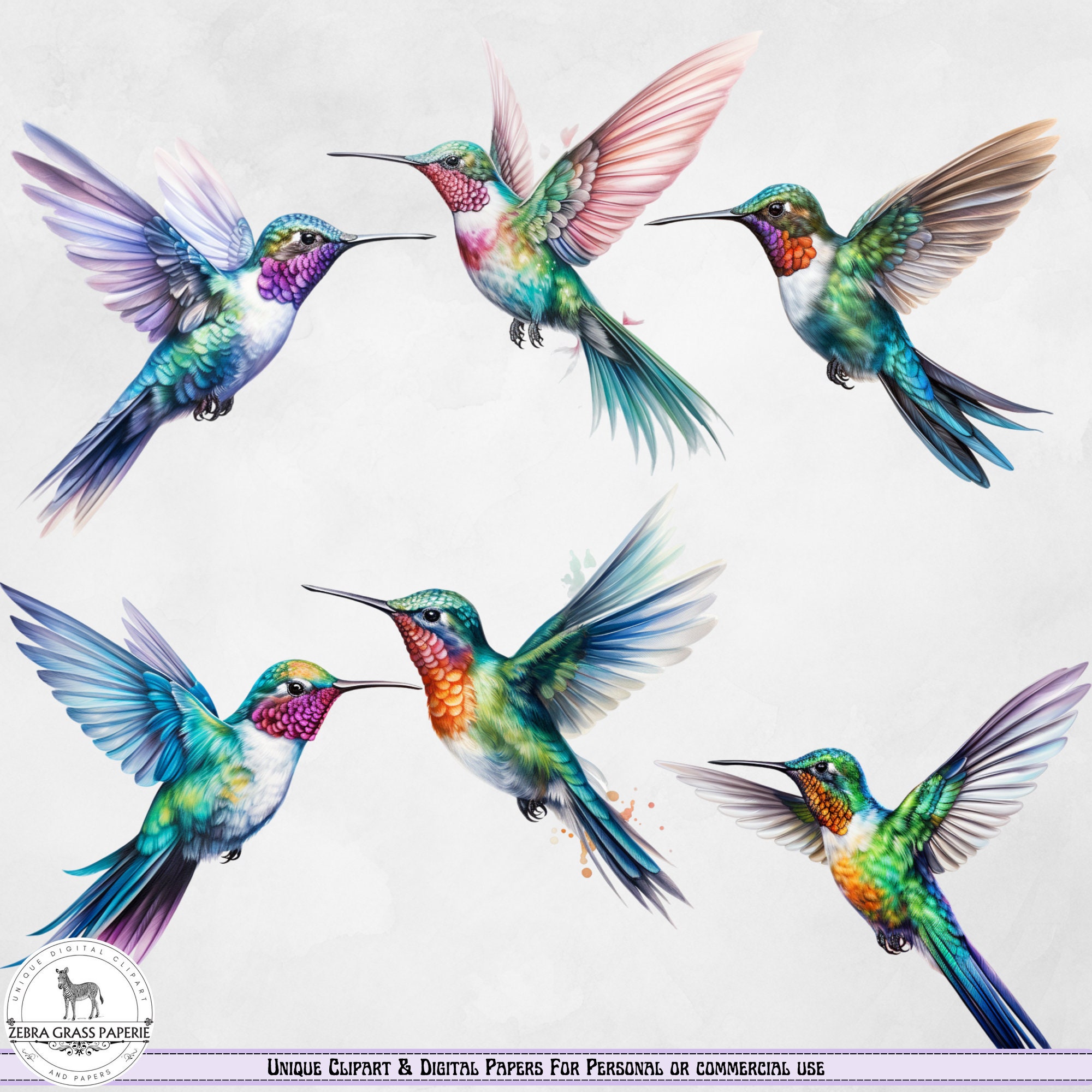 Humming Bird Clipart, Cute Bird Clip Art, Watercolor Nursery Wallart ...