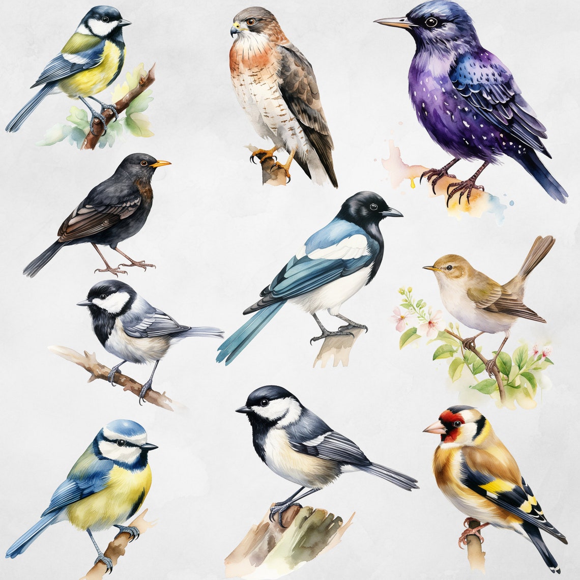 Garden Bird Clipart, Cute Bird Clip Art, Watercolor Nursery Wallart ...