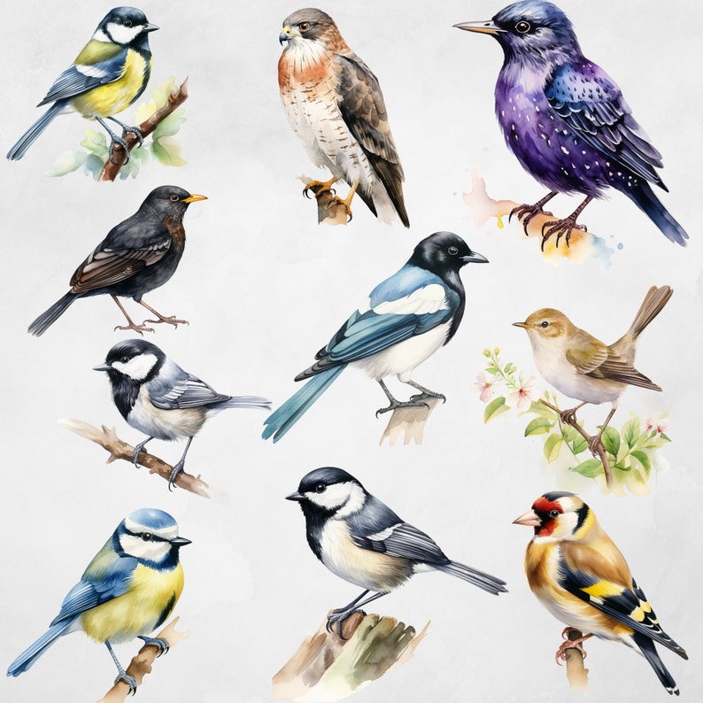 Garden Bird Clipart, Cute Bird Clip Art, Watercolor Nursery Wallart ...