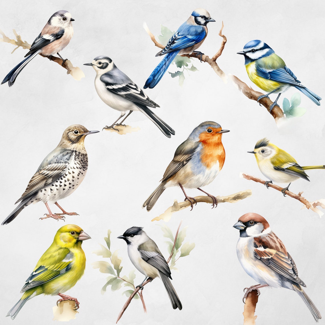 Garden Bird Clipart, Cute Bird Clip Art, Watercolor Nursery Wallart ...