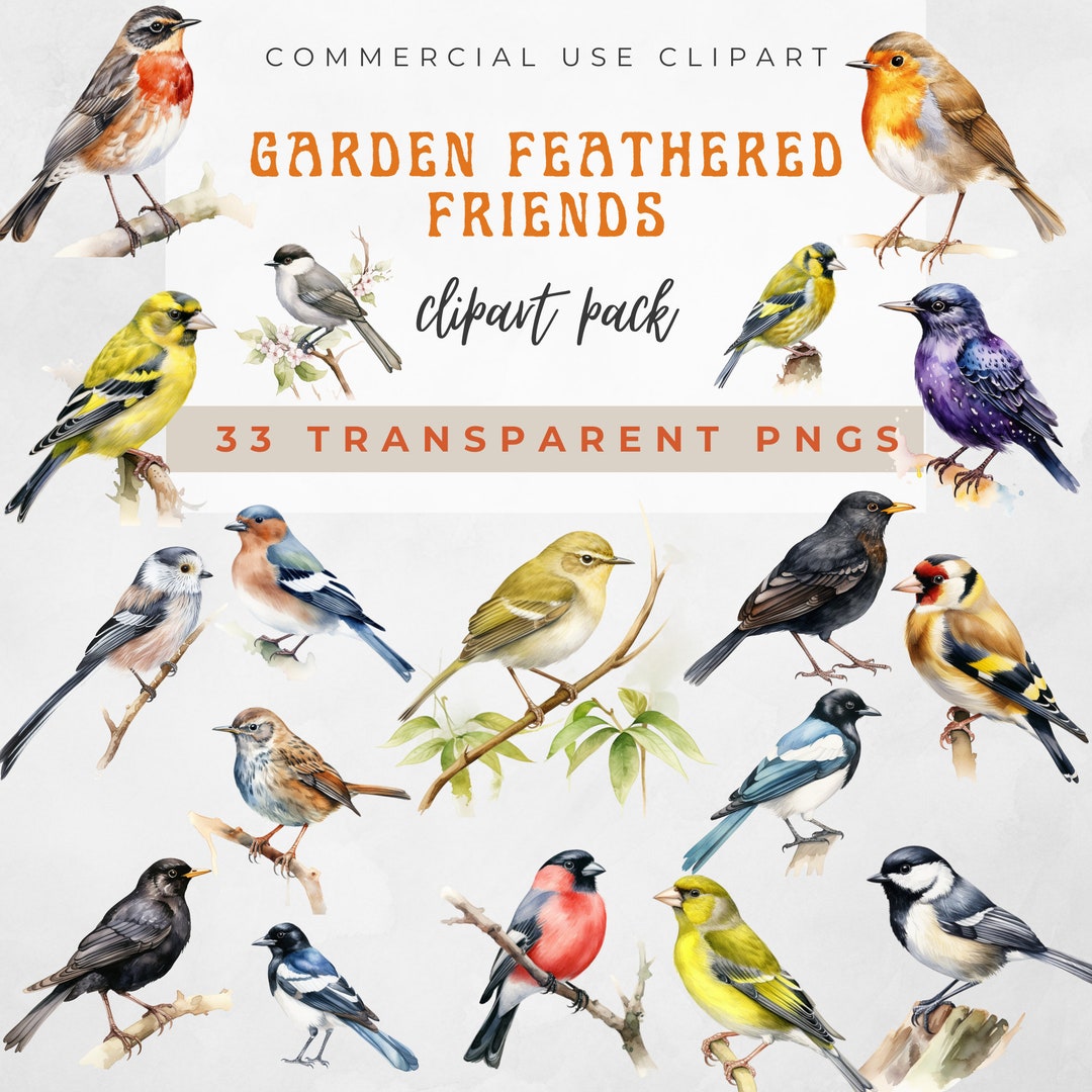 Garden Bird Clipart, Cute Bird Clip Art, Watercolor Nursery Wallart ...