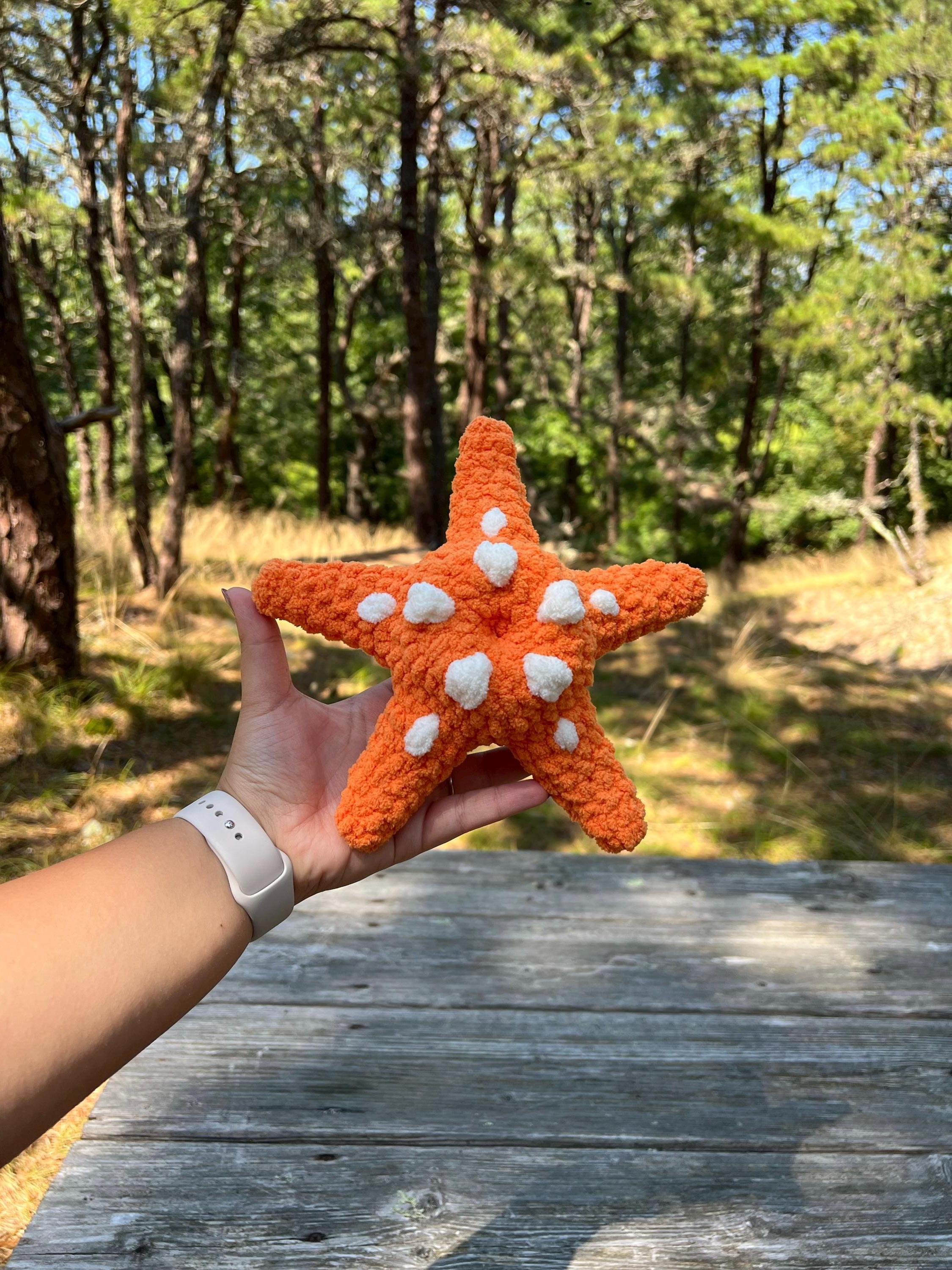 Mini Starfish | Sea Star | Crochet Stuffed Toy | Crochet Plushie | High ...